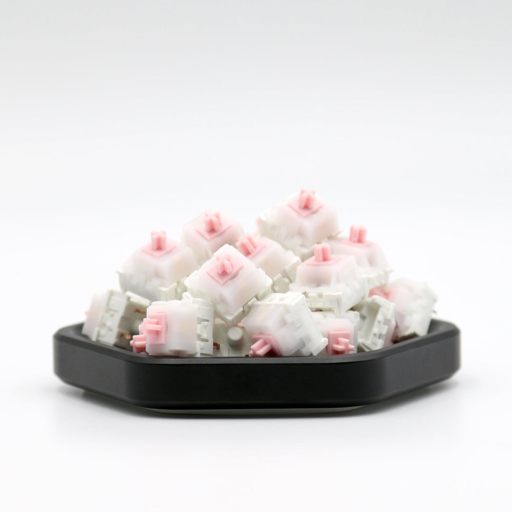 Loopy Switch (Packs of 10) ฟรี! Tube Packaging เมื่อสั่งซื้อ 70 ตัวขึ้