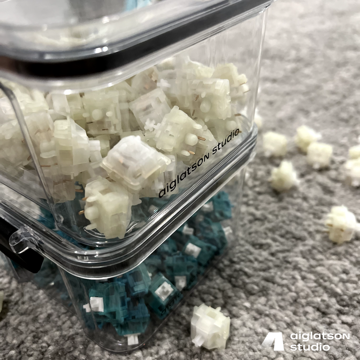 AGS Switch Storage Box
